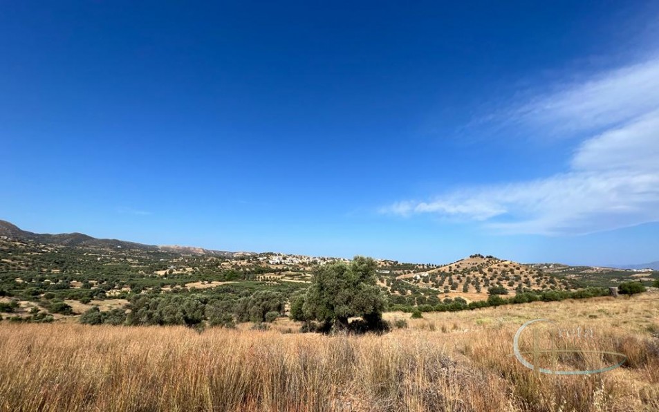 Prachtig perceel met uitzicht op de bergen en het landschap! - Creta Houses