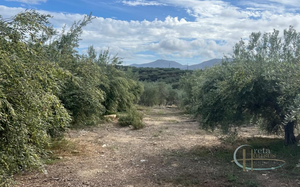 Perceel aan de rand van Kamilari - Creta Houses
